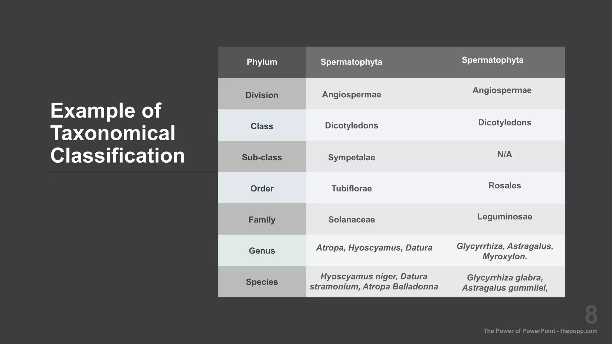 classification of crude drug taxonomical | PPTX