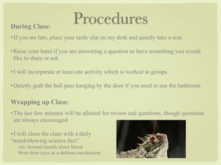 Final Classroom Management Plan | PPT | Free Download