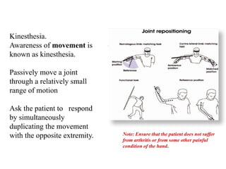 clinical skills: examination of sensory system | PPTX