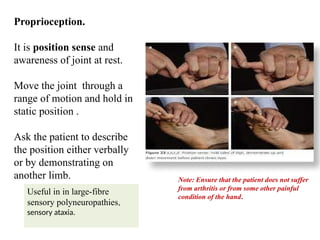 clinical skills: examination of sensory system | PPTX