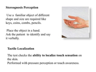 clinical skills: examination of sensory system | PPTX