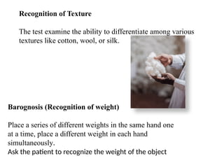 clinical skills: examination of sensory system | PPTX