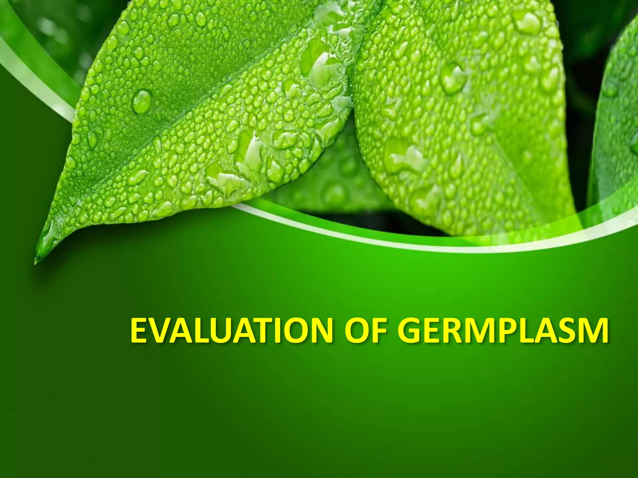 Collection, evaluation and documentation of germplasm | PPTX