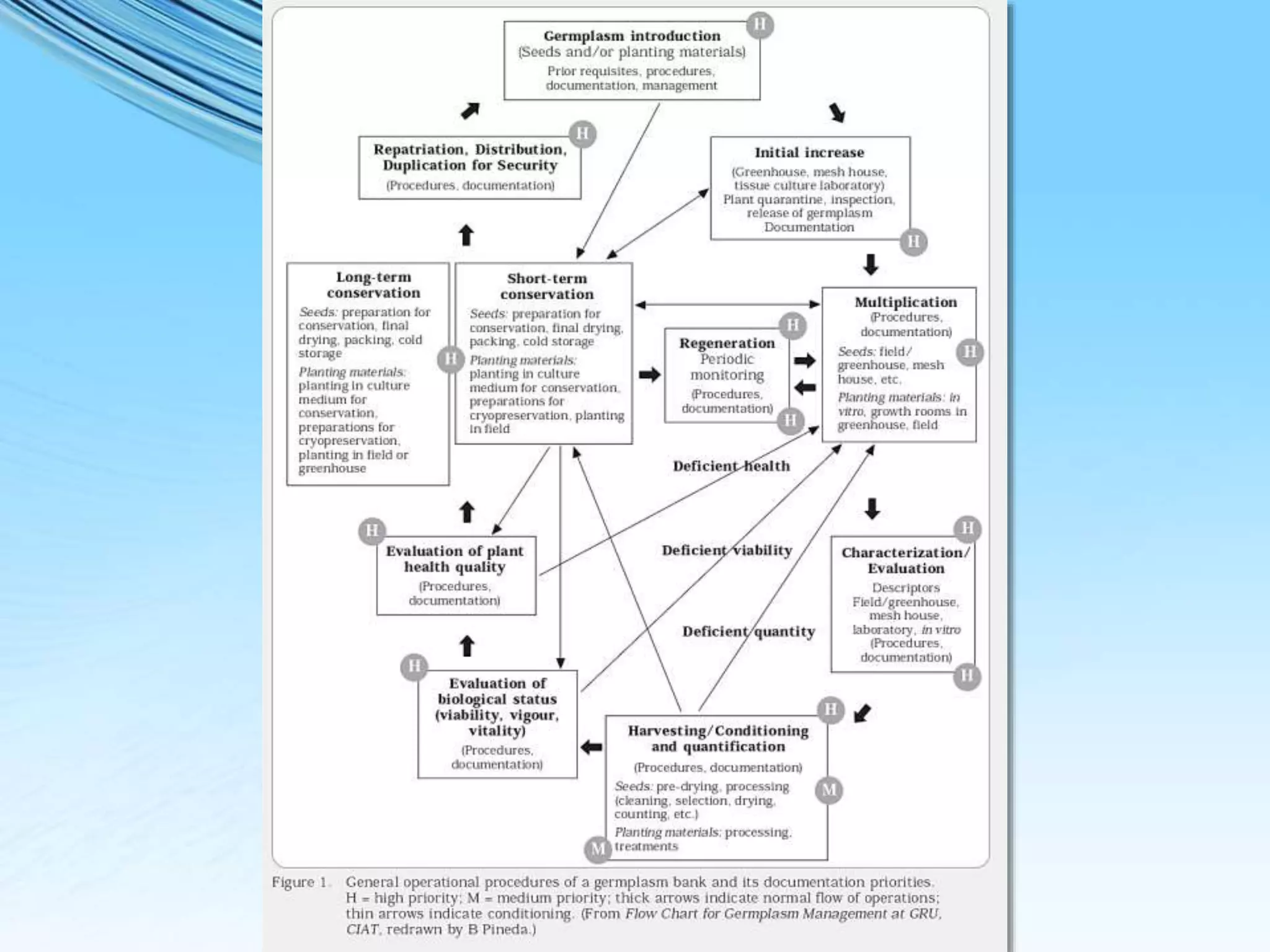 Collection, evaluation and documentation of germplasm | PPTX