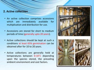 Collection, evaluation and documentation of germplasm | PPTX