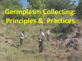 Collection, evaluation and documentation of germplasm | PPT