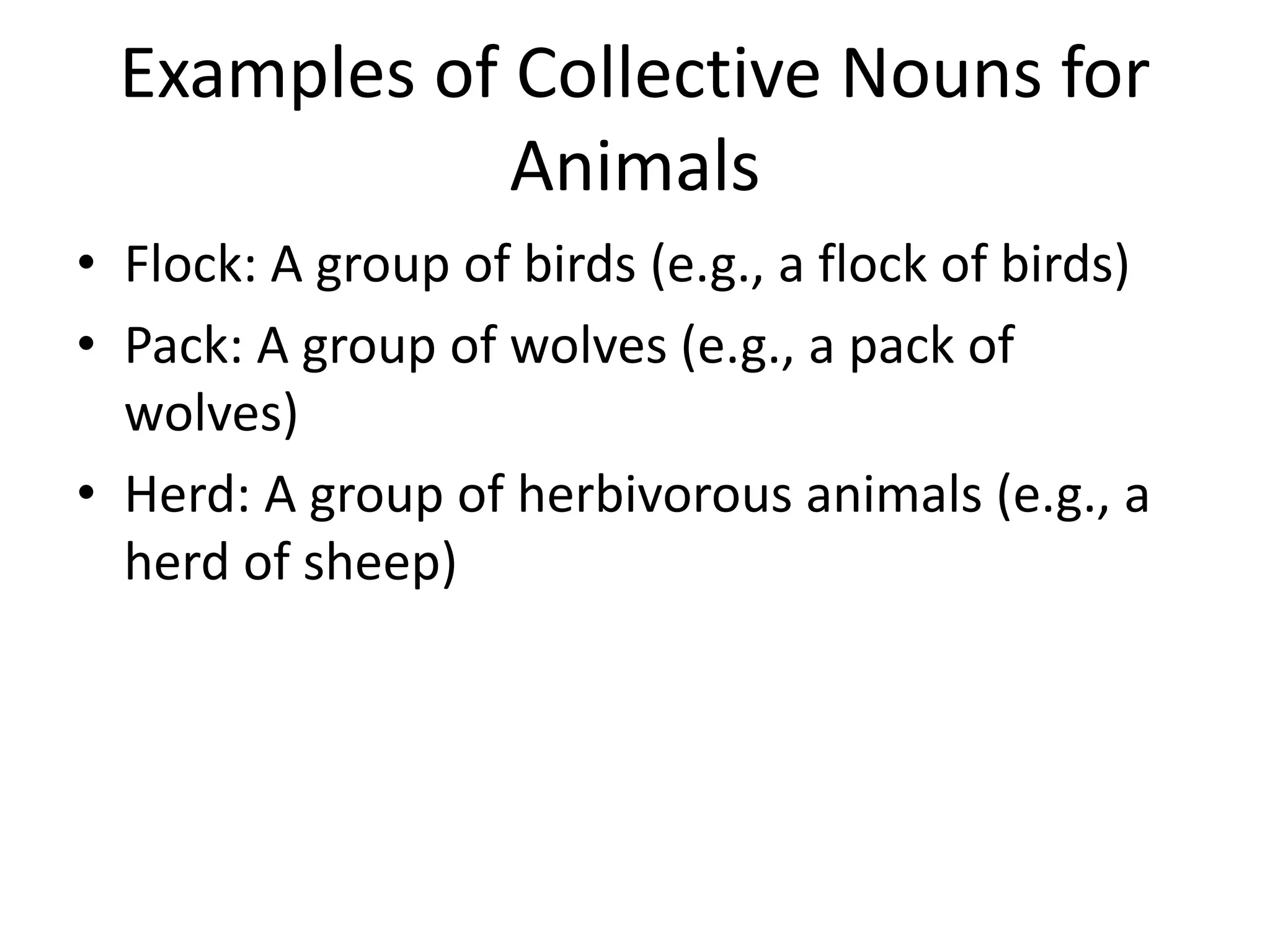 Final_Collective_Nouns_Presentation.pptx