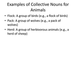 Final_Collective_Nouns_Presentation.pptx