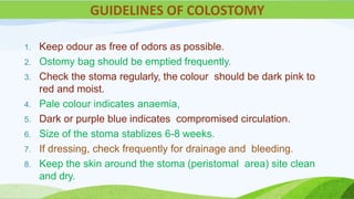 colostomy care ppt..pptx