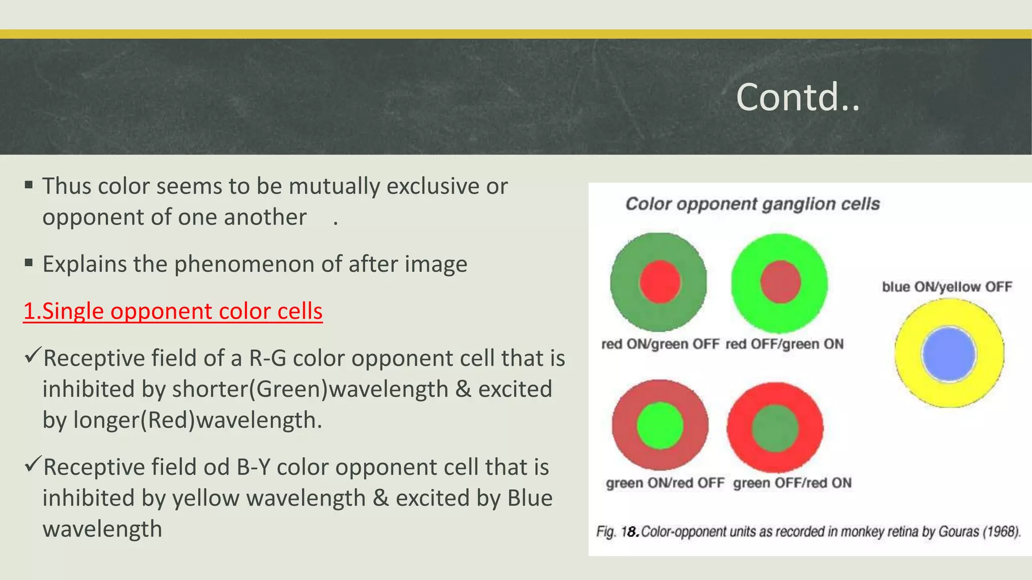 Color vision : Physiology ,Defects, Detection, Diagnosis & Management ...
