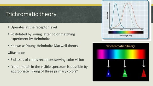 Color vision : Physiology ,Defects, Detection, Diagnosis & Management ...