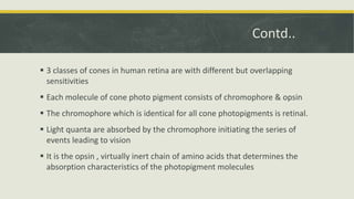 Color vision : Physiology ,Defects, Detection, Diagnosis & Management ...