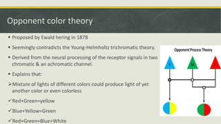 Color vision : Physiology ,Defects, Detection, Diagnosis & Management ...