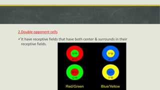 Color vision : Physiology ,Defects, Detection, Diagnosis & Management ...