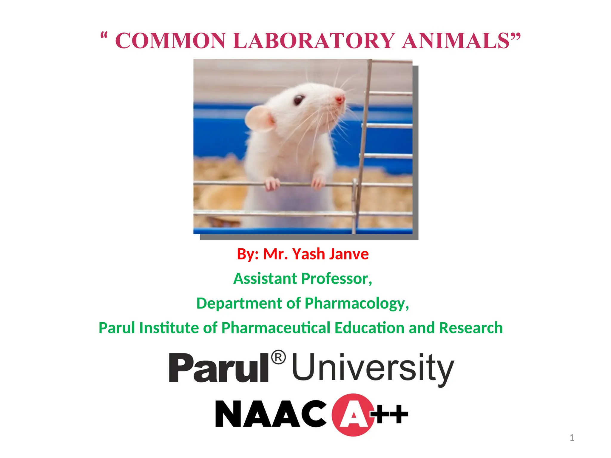 Final Common laboratory animals for experimental pharmacology | PPT