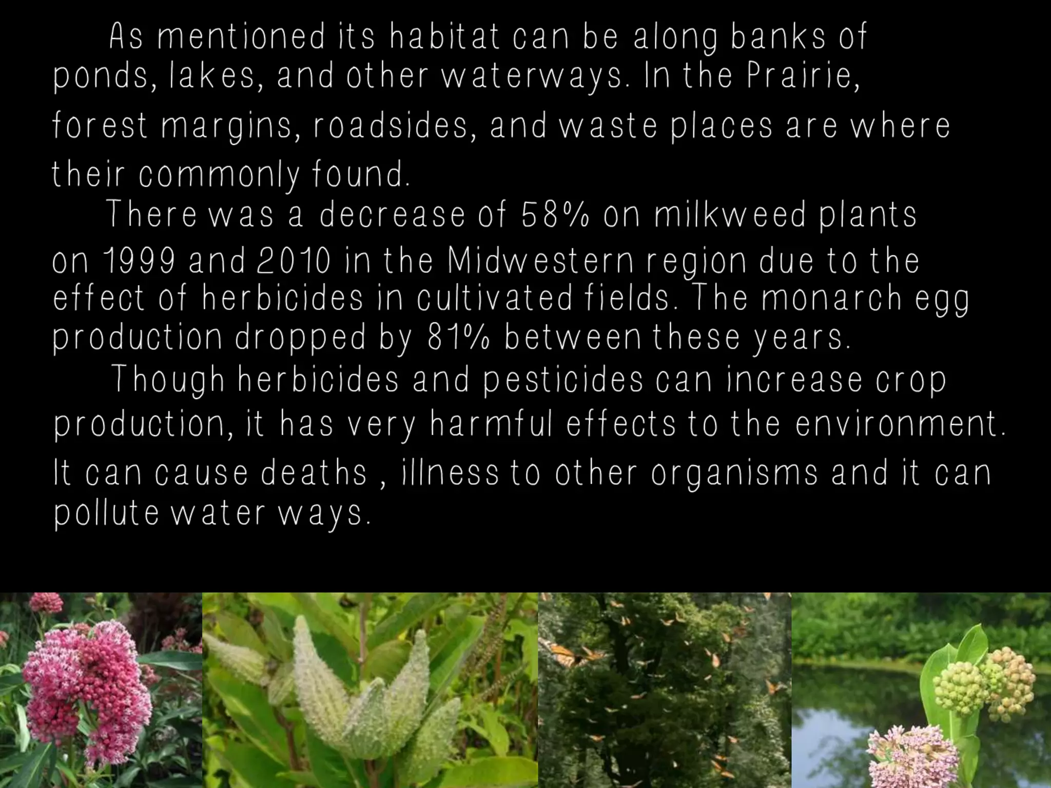 Final common milkweed powerpoint | PPTX