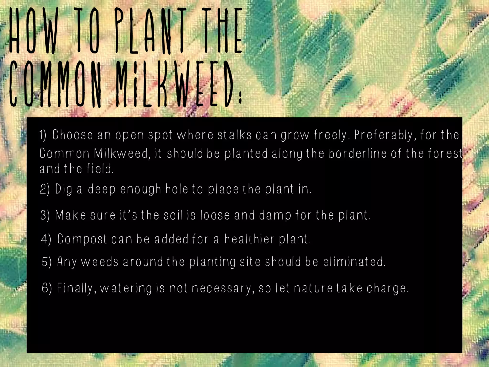 Final common milkweed powerpoint | PPTX