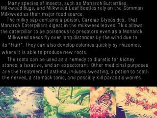 Final common milkweed powerpoint | PPTX