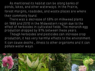 Final common milkweed powerpoint | PPTX