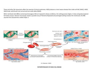 Anemia and Its Diagnosis | PPT