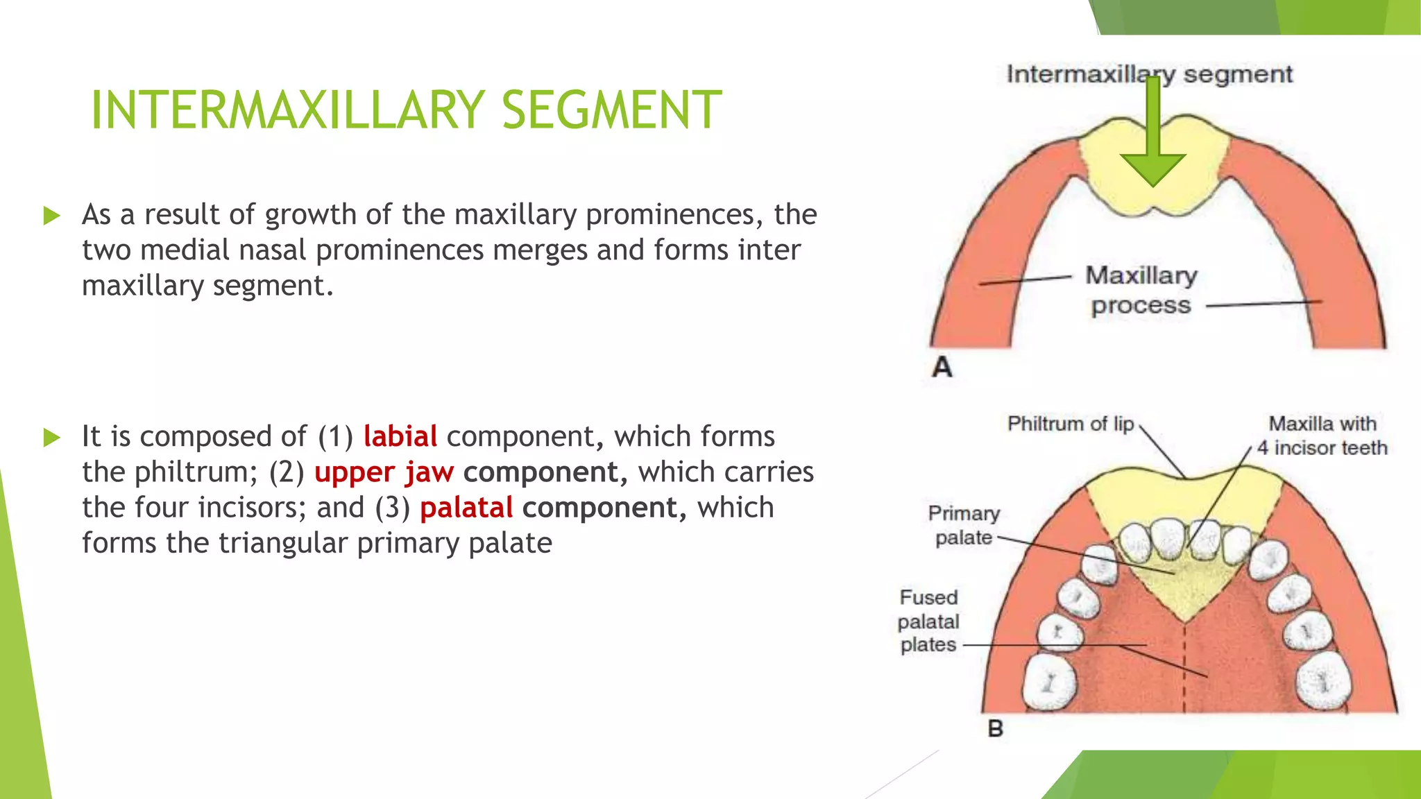 Congenital anomalies of head,neck and face(Radiology) including USG and ...