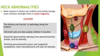 Congenital anomalies of head,neck and face(Radiology) including USG and ...