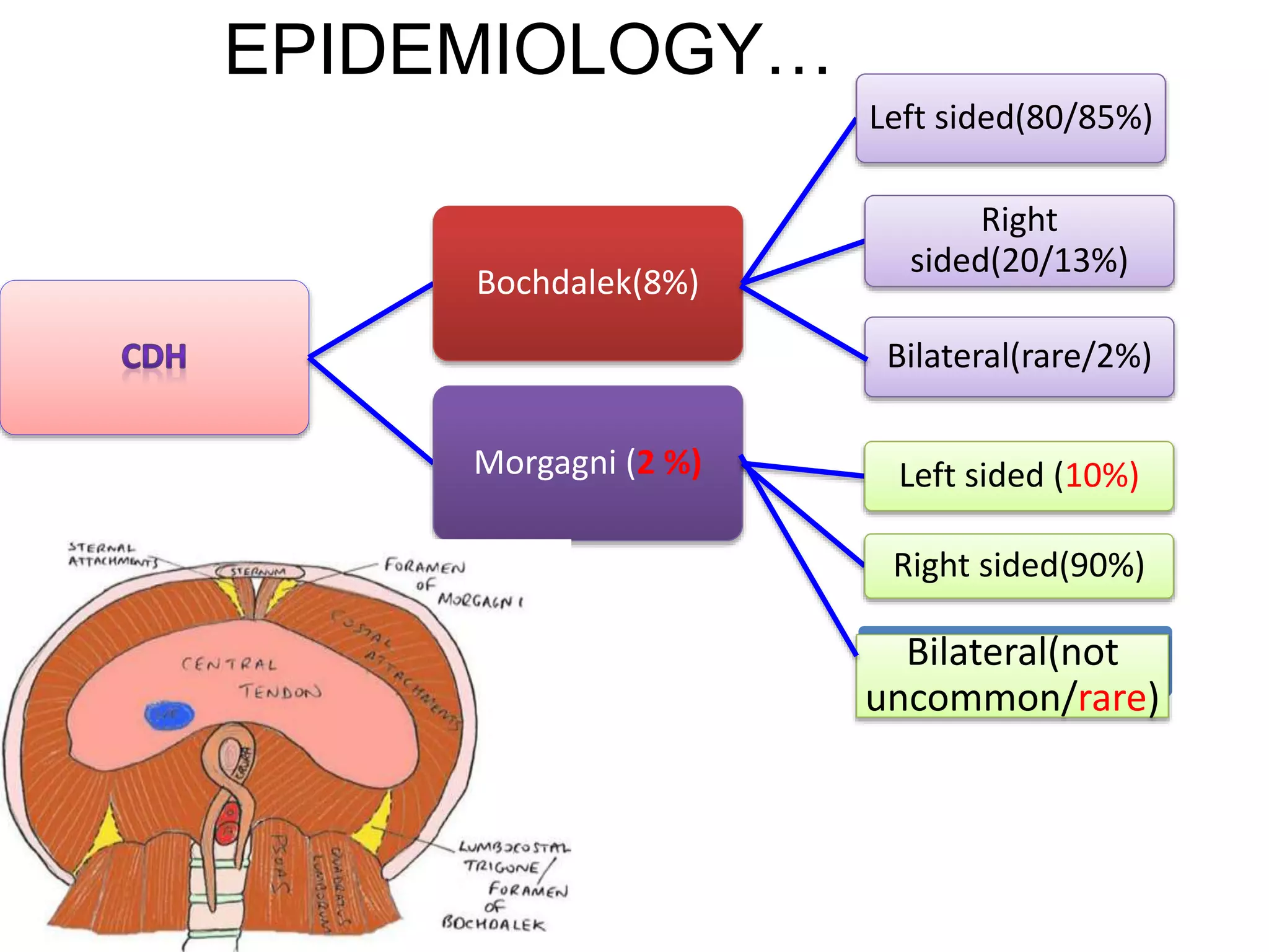 FINAL CONGENITAL DIAPHRAGMATIC HERNIA PPT.pptx
