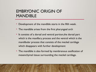 MANDIBLE AND Temporomandibularjoint.pptx