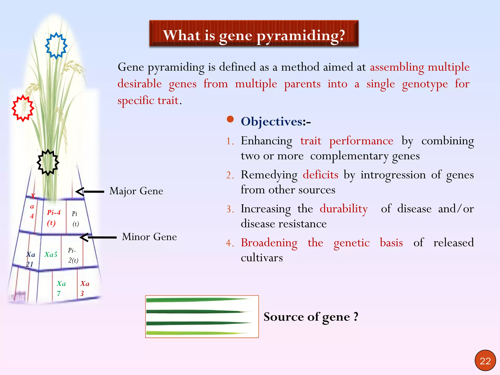 Marker Assisted Gene Pyramiding for Disease Resistance in Rice | PPT