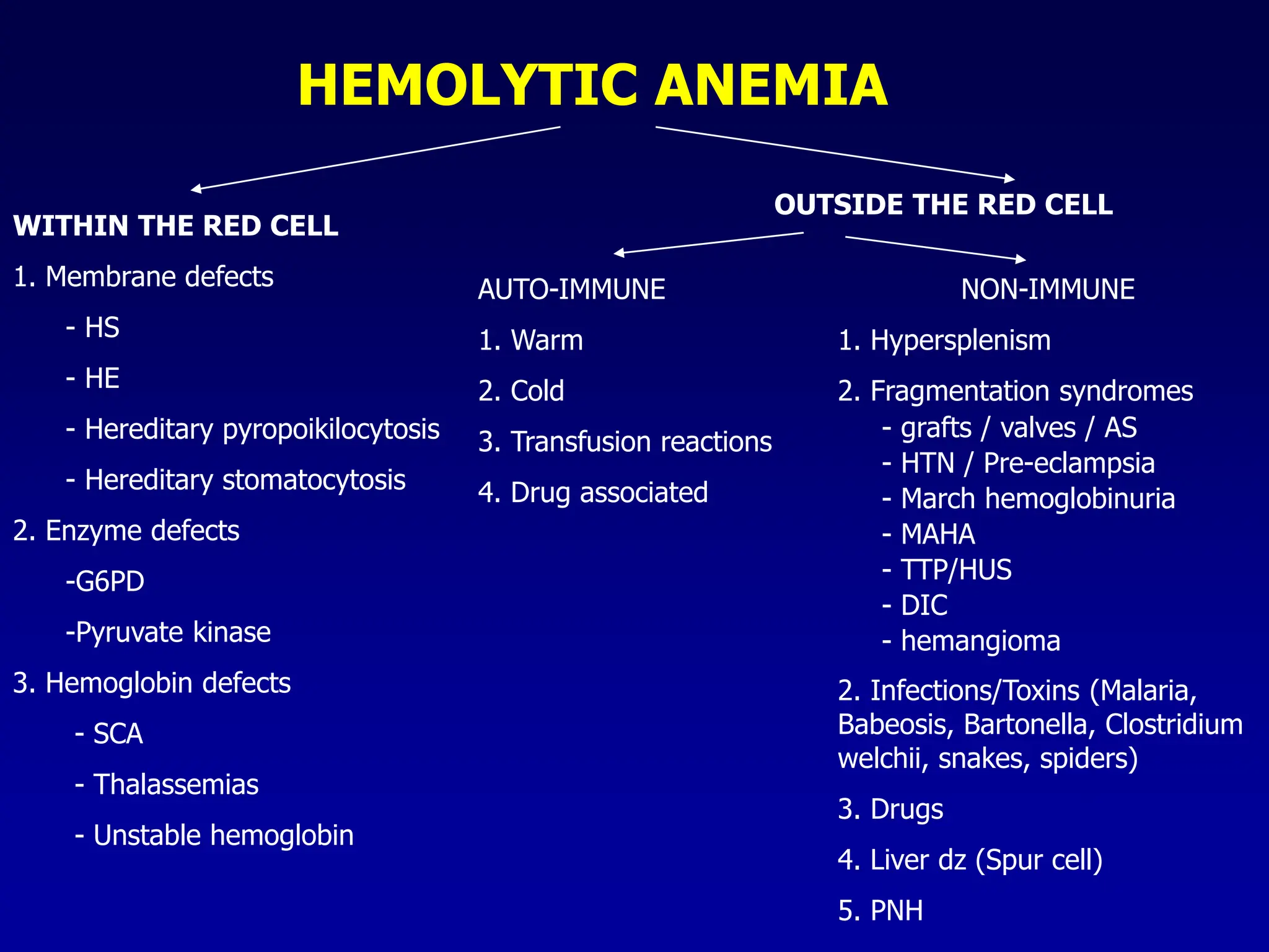 final copy of pathogenesis hemolytic anemias.ppt