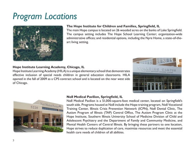 The Hope Institute for Children and Families Brochure | PDF