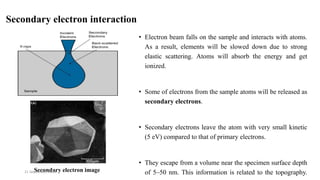 Scanning electron microscope(SEM) | PPTX | Physics | Science