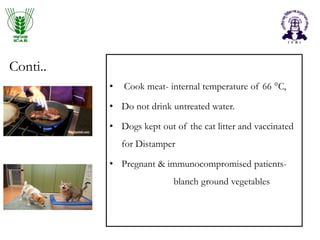 Toxoplasmosis- a neglected tropical disease | PPT