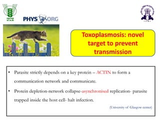 Toxoplasmosis- a neglected tropical disease | PPT
