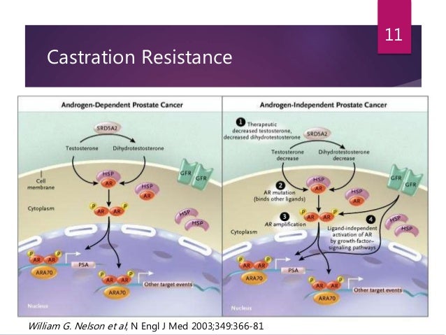 Metastatic Castration Resistant Prostate Cancer(mCRPC)