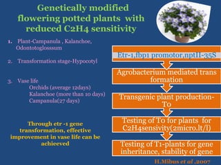 Recent advances in neutraceutical and value addition in ornamental horticulture | PPTX