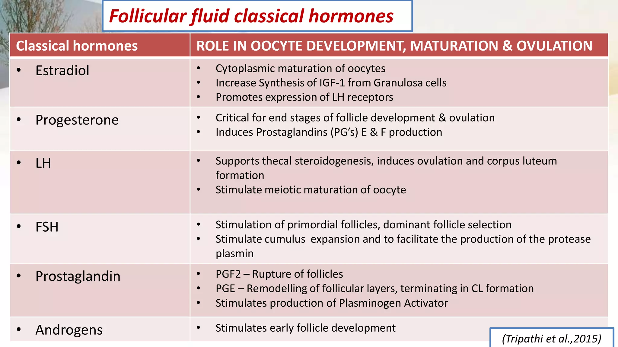 FOLLICULAR FLUID FACTORS IN OVULATION- DR.NITISH KULKARNI | PPTX