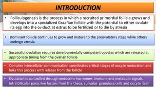 FOLLICULAR FLUID FACTORS IN OVULATION- DR.NITISH KULKARNI | PPT
