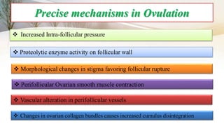 FOLLICULAR FLUID FACTORS IN OVULATION- DR.NITISH KULKARNI | PPT