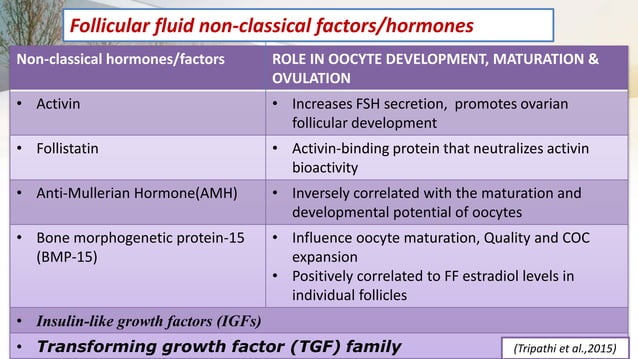 FOLLICULAR FLUID FACTORS IN OVULATION- DR.NITISH KULKARNI | PPT
