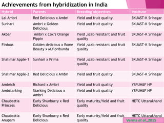 Advances in breeding of Apple and pear.pptx