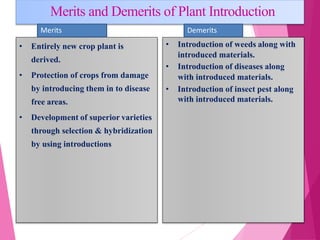 Advances in breeding of Apple and pear.pptx
