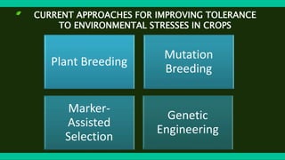 Development of climate resilient crops / agriculture | PPTX