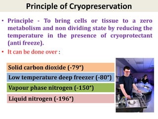 Advances and Applications of Cryopreservation Techniques in Fisheries ...