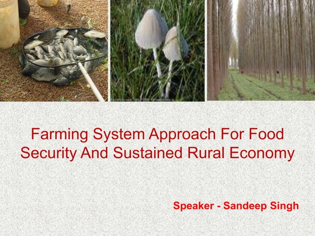 Farming System Approach | PPTX