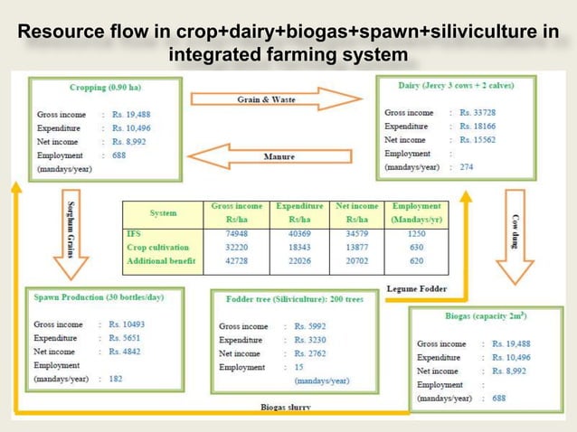 Farming System Approach | PPTX