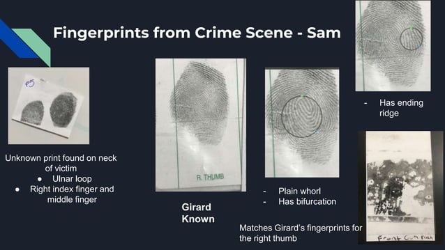 Mock Crime Scene | PPTX
