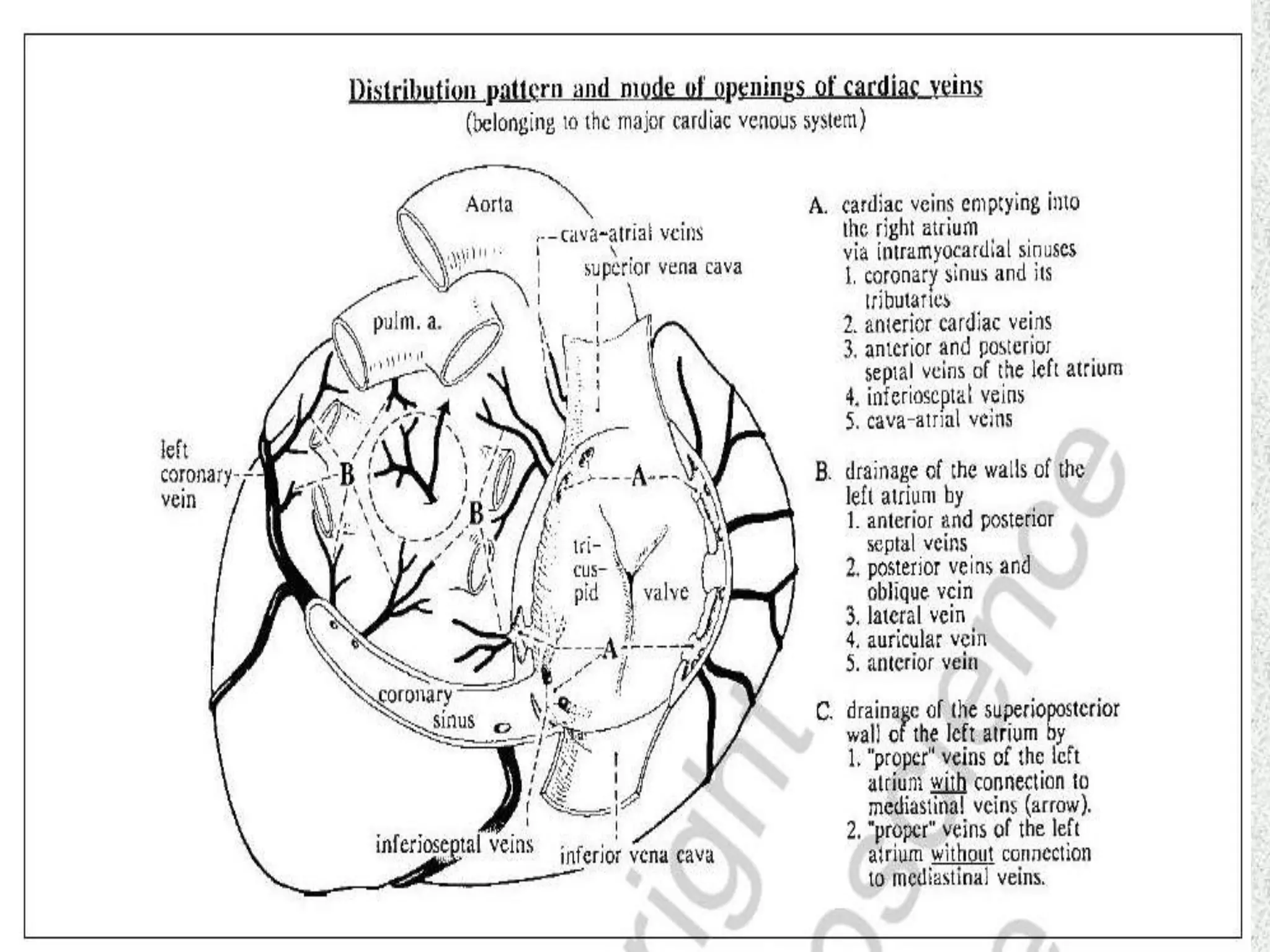 CORONARY SINUS | PPTX
