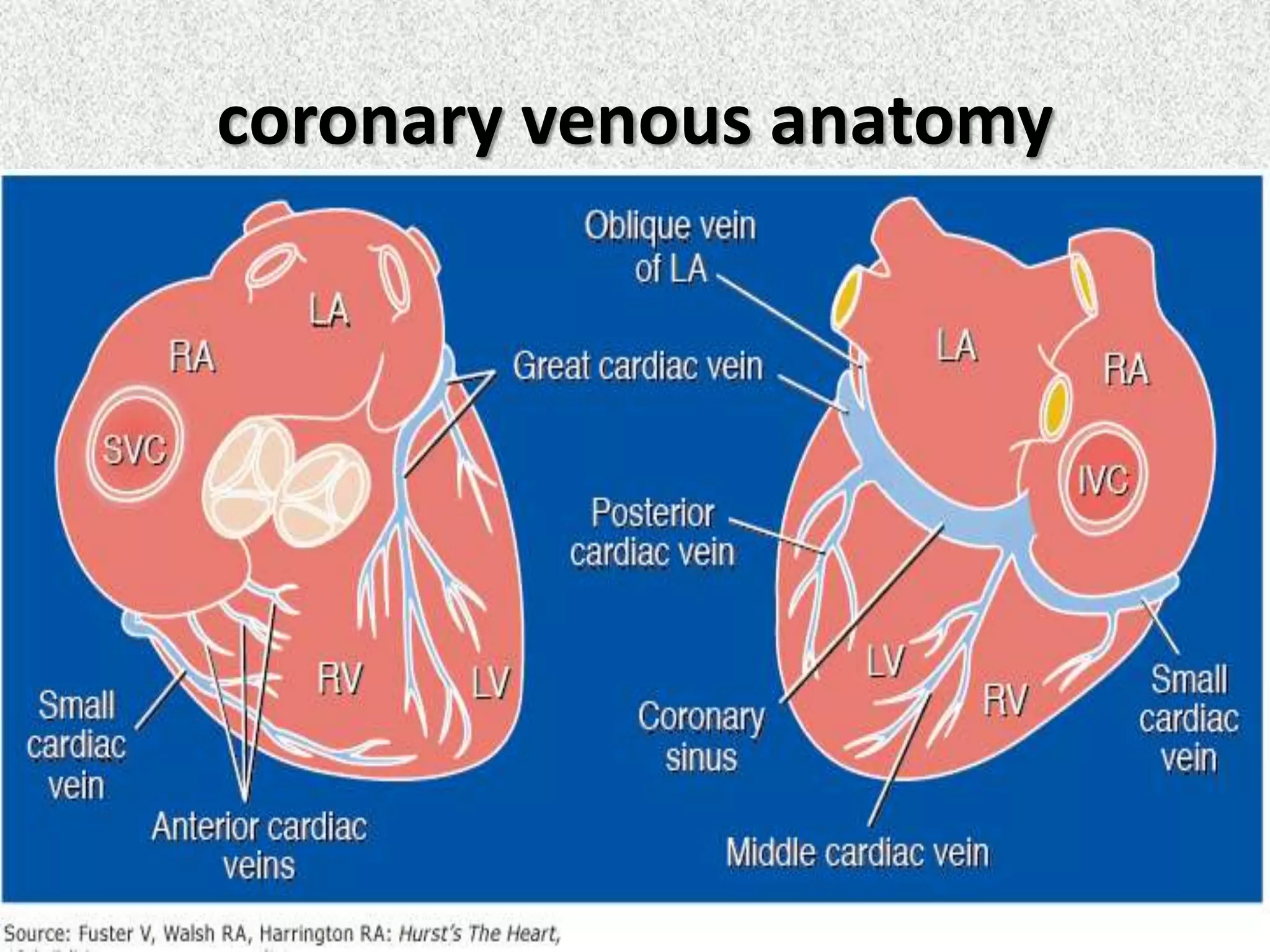 CORONARY SINUS | PPTX