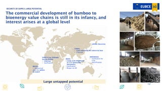 Potential of Bamboo for Renewable Energy: Opportunities, Challenges and ...